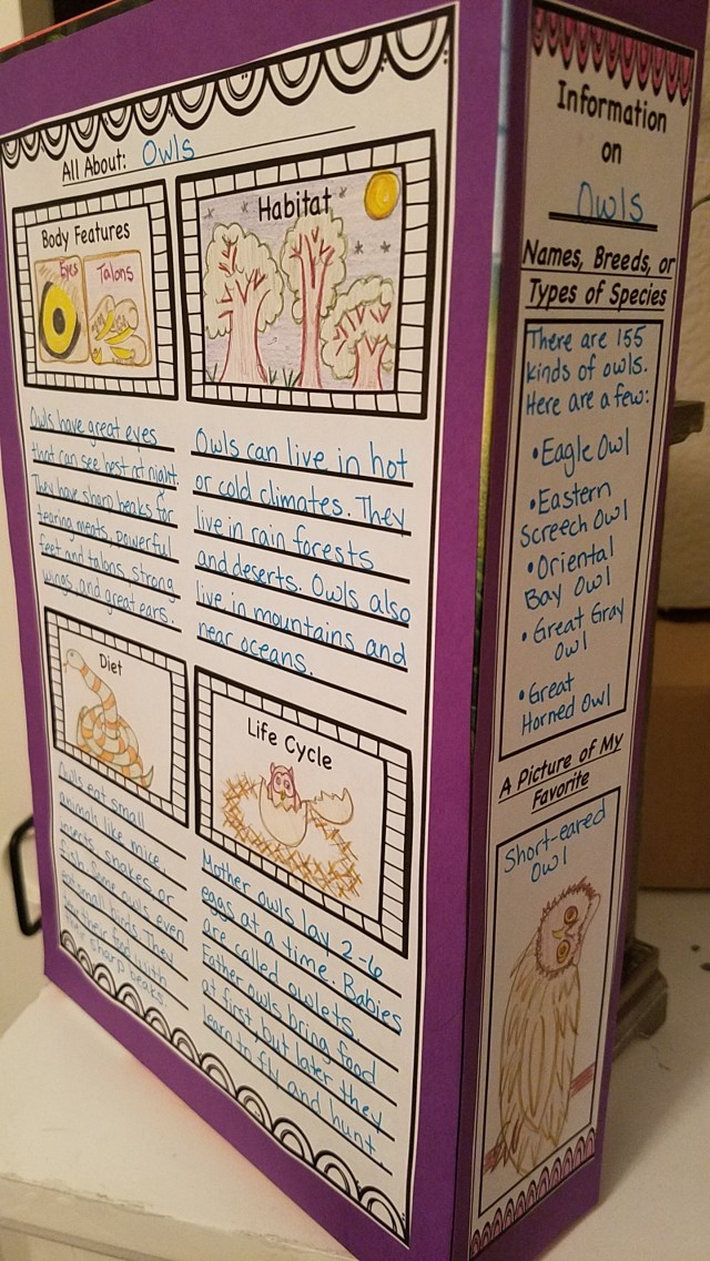 Cereal Box Book Project